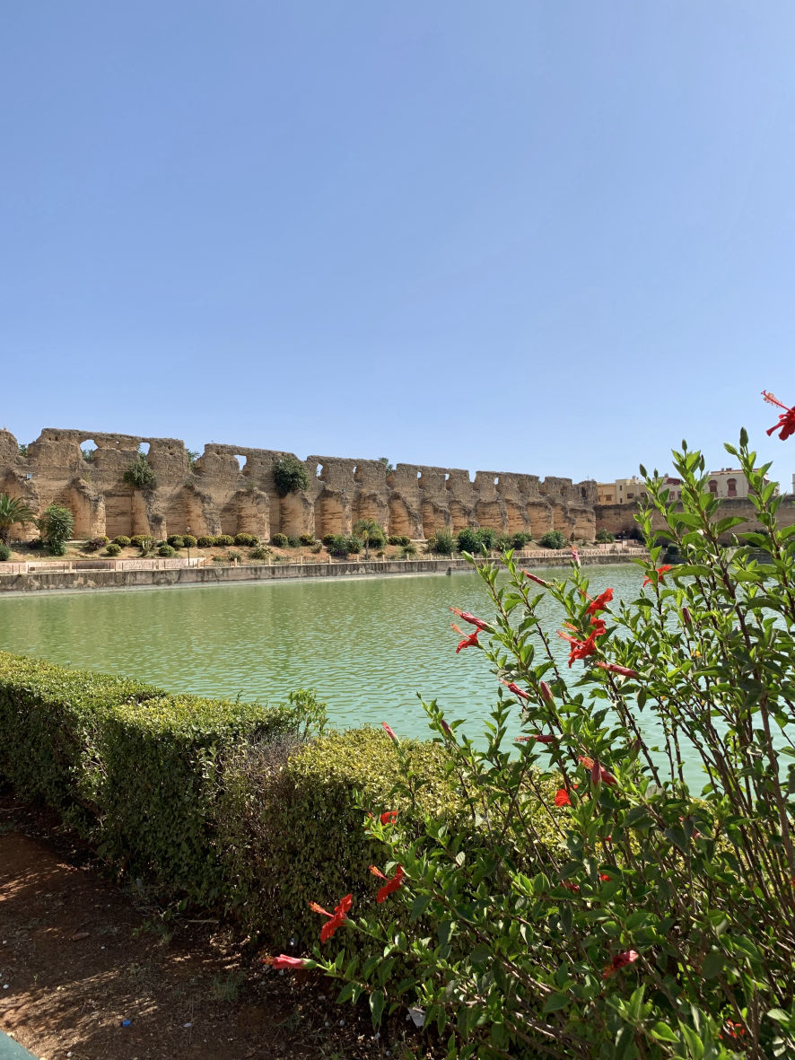 Que faire à Meknes : les incontournables - Road Trip au Maroc